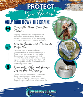 Protect Your Drains / Northwest Freeway MUD